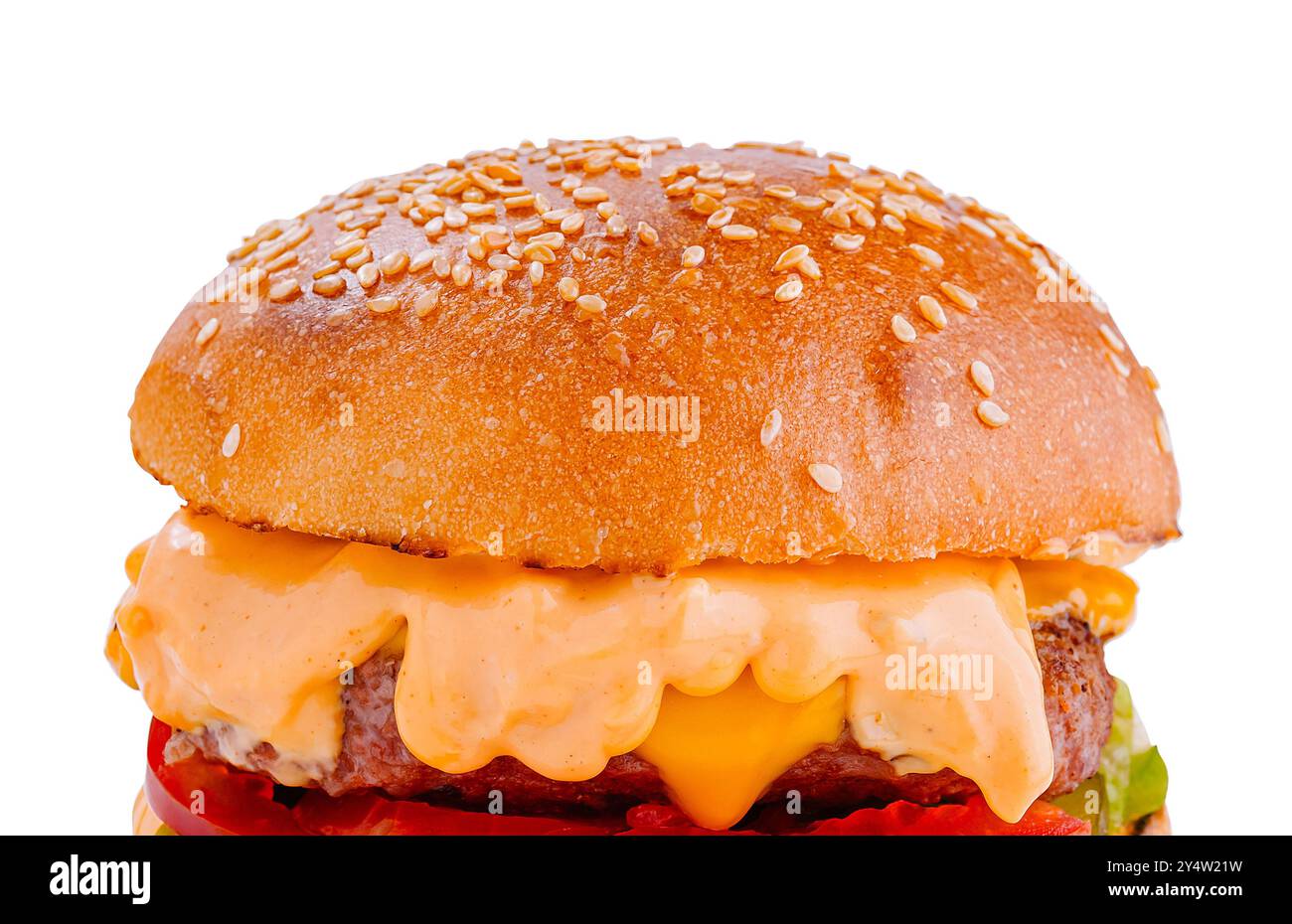 Sesame seed bun is holding a juicy burger with melted cheese dripping ...