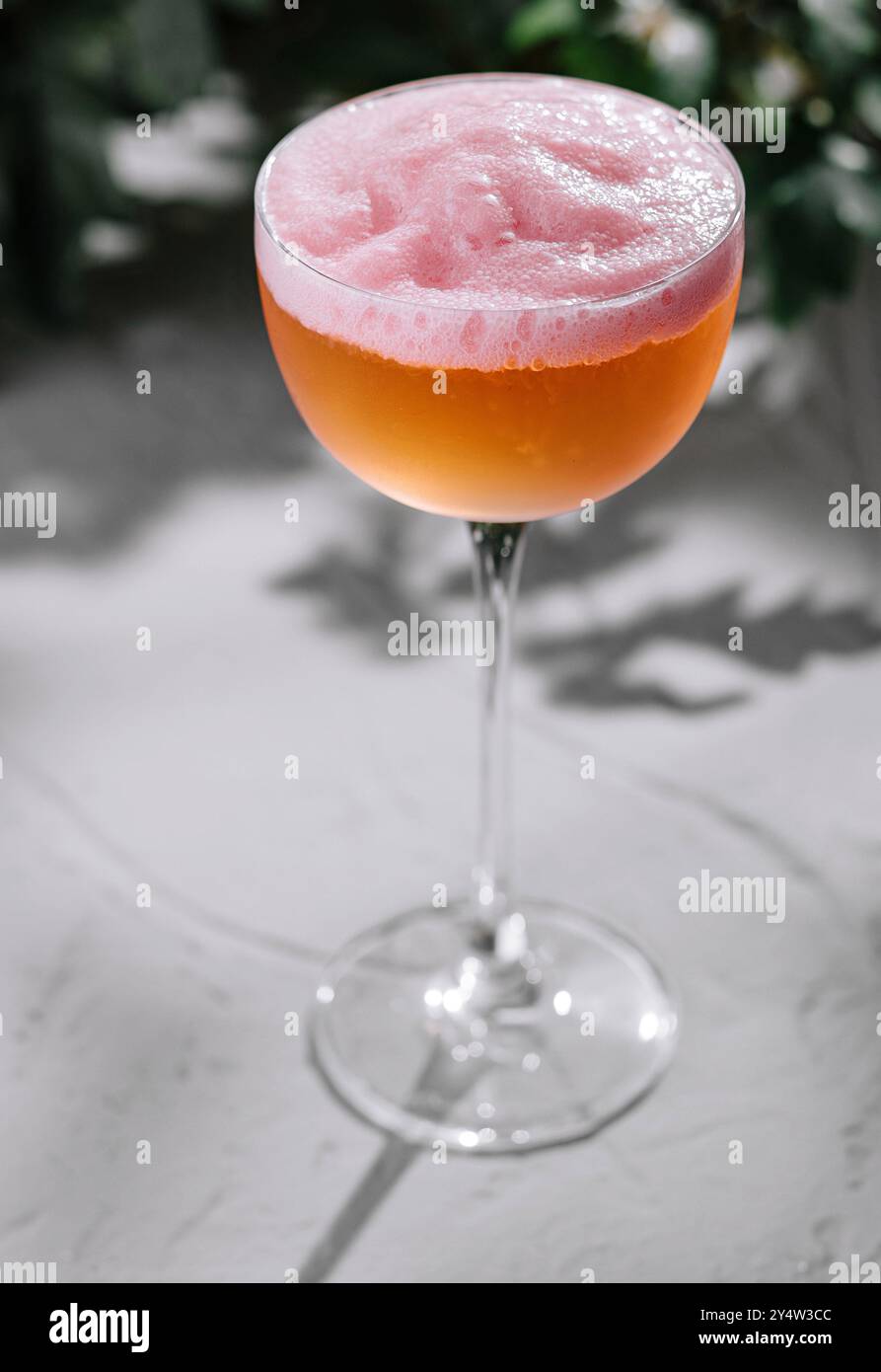 Stylish pink cocktail with a frothy top, served on a sleek, textured ...