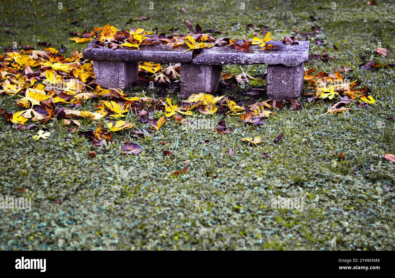 yellow leaves cover a sad bench in the fields Stock Photo - Alamy