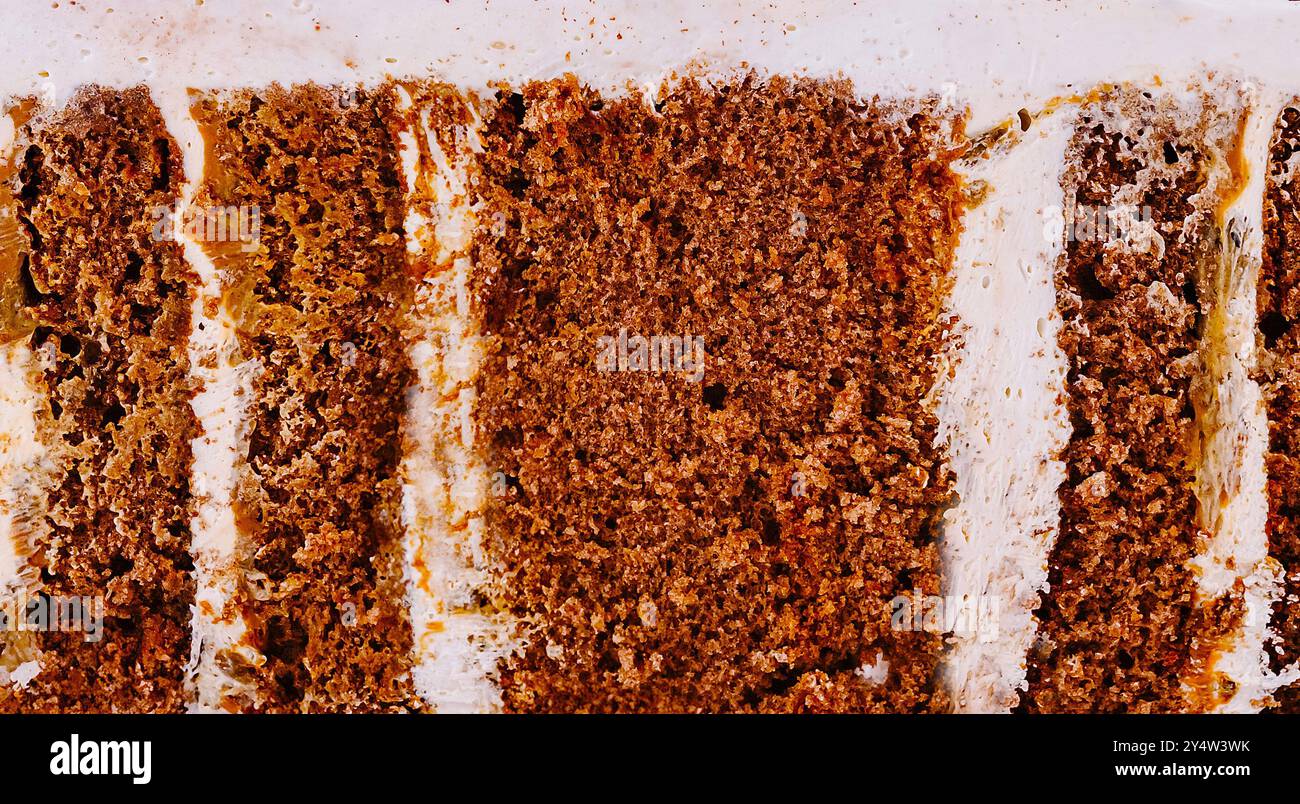 Close up of a chocolate cake with white cream layers showing the ...