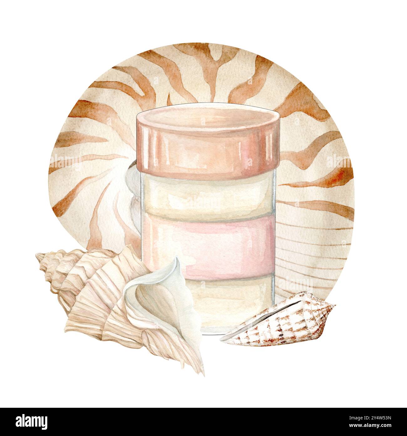 Face cream, seashells, clams and Nautilus. Watercolor Clip Art The ...