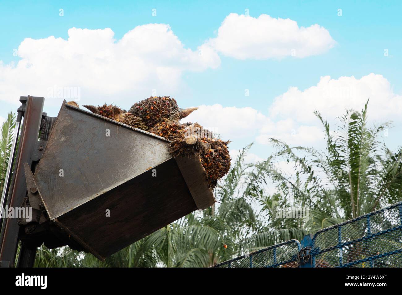 Oil palm fruit truck hi-res stock photography and images - Alamy