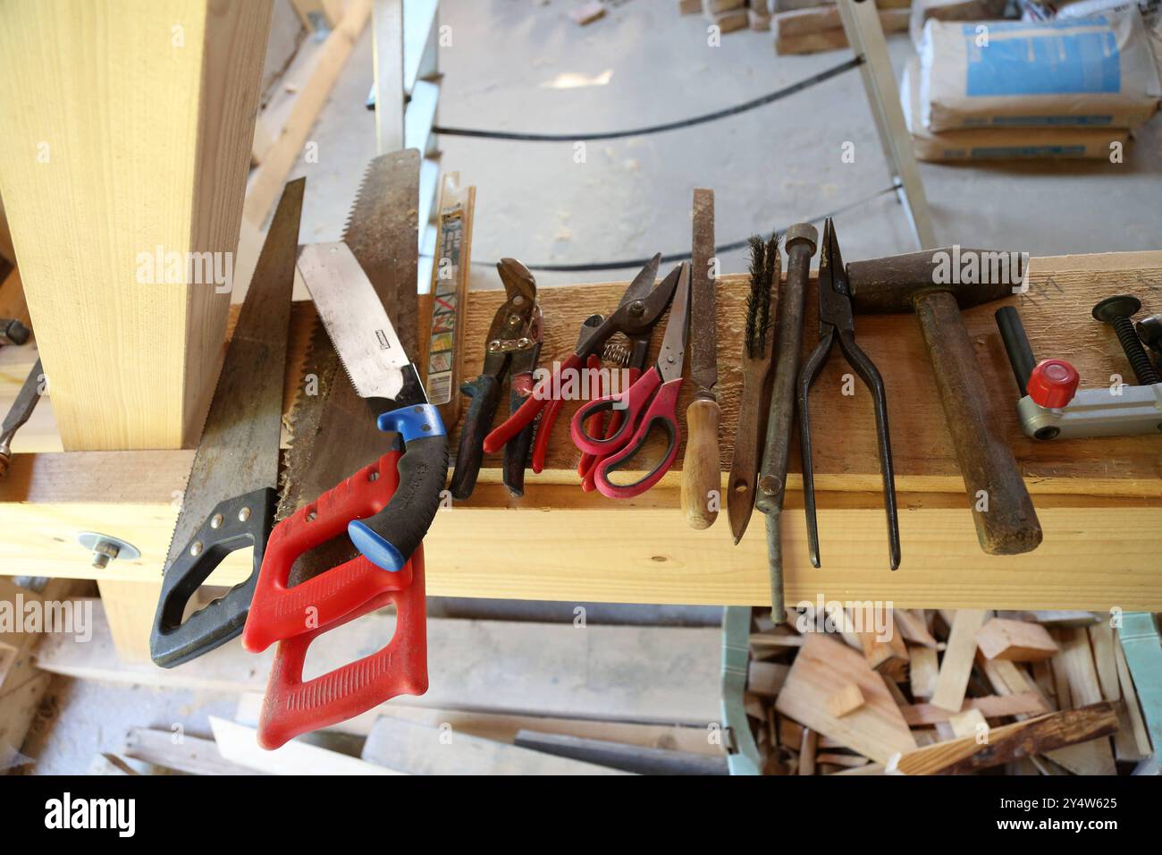 Foxtail saw hi-res stock photography and images - Alamy
