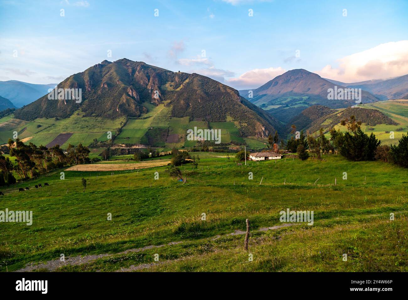 Andean landscape, cultivated fields on the slopes of the Cayambe ...