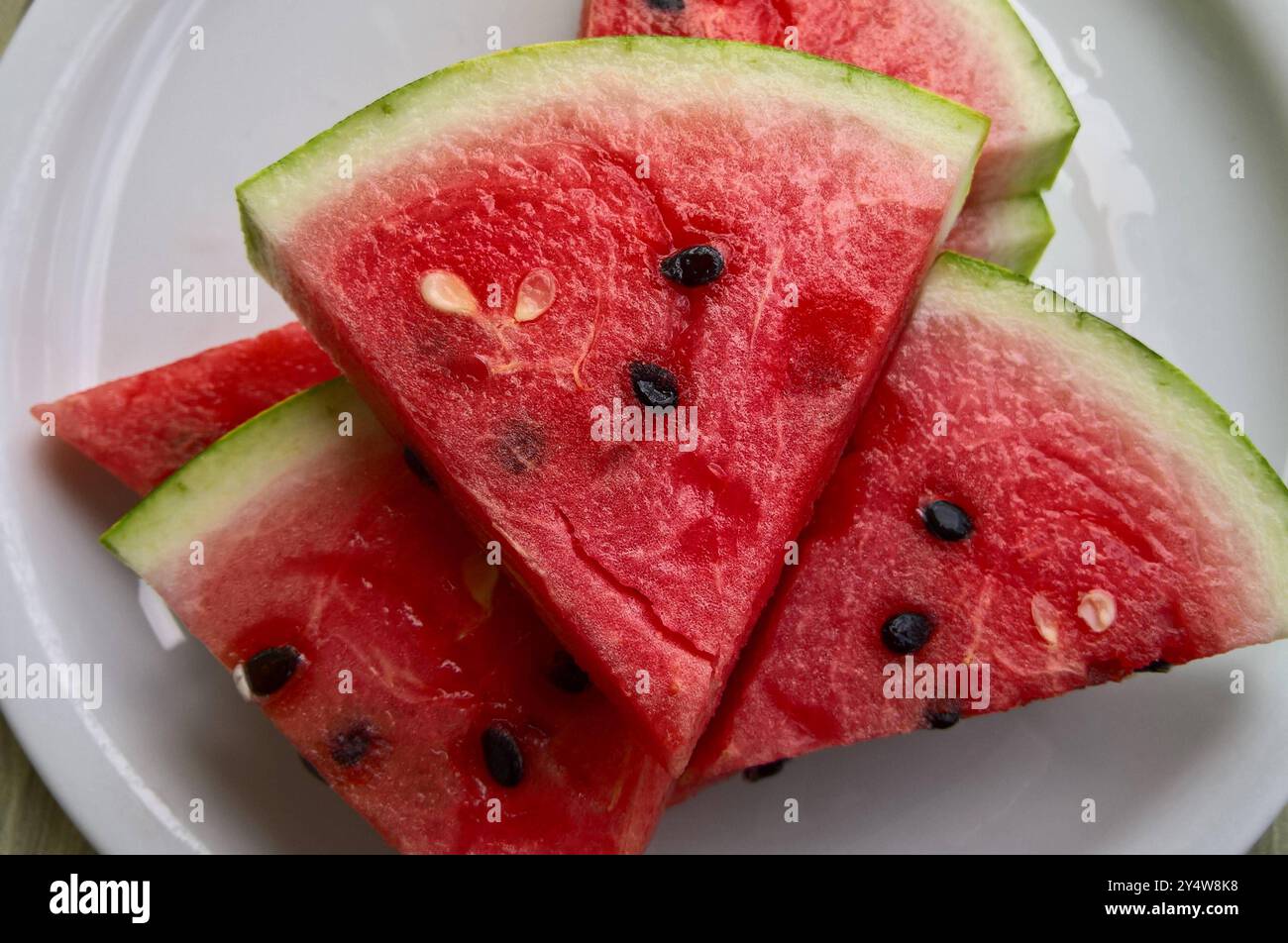 Die Wassermelone - auch Citrullus lanatus, ist eine aus Afrika ...