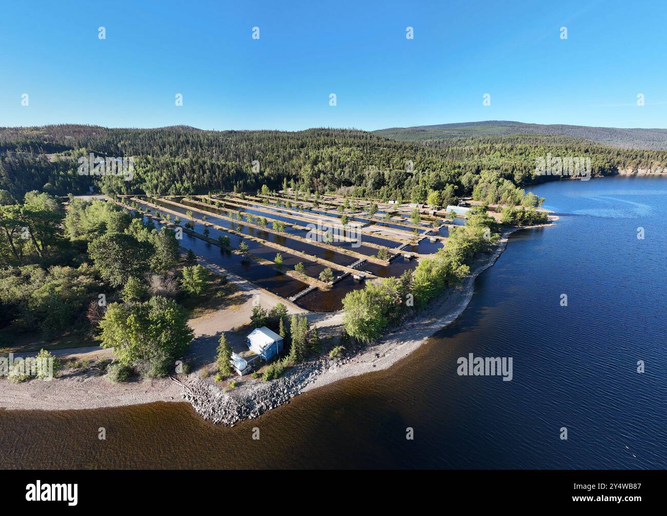 Pinkut creek hi-res stock photography and images - Alamy