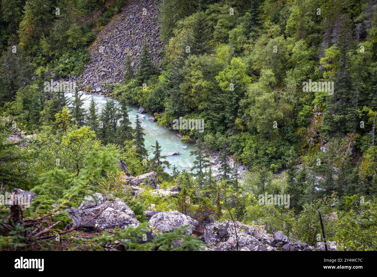 River with glacier water seen from the White Pass-Yukon Route railroad ...