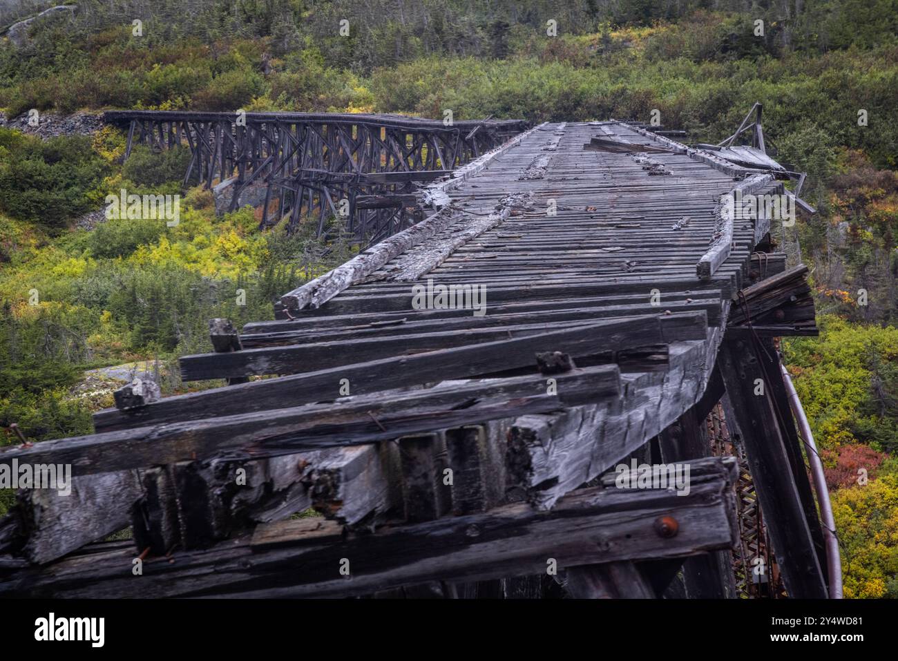 Collapsed bridge seen from the White Pass-Yukon Route railroad in ...