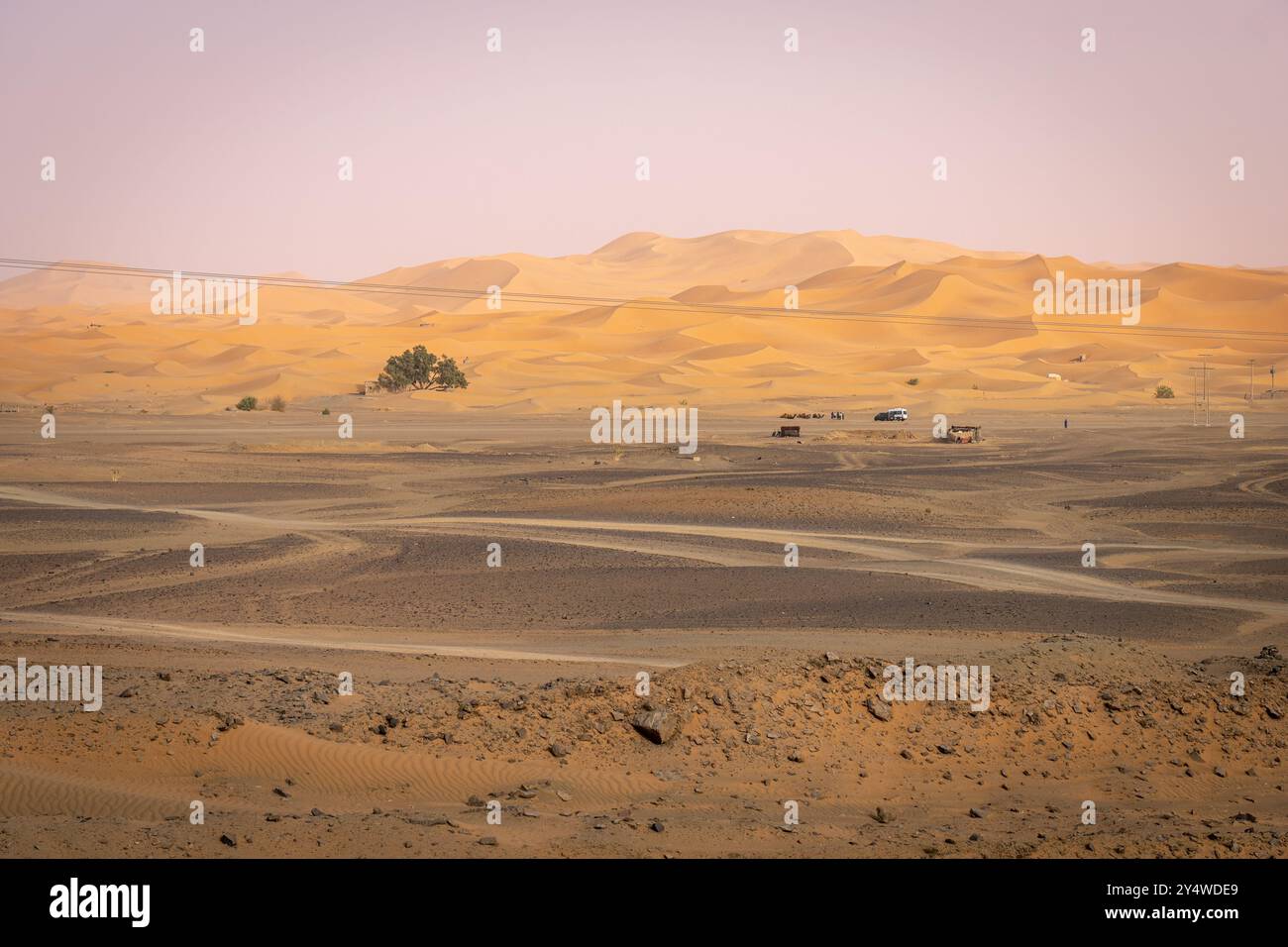 A vast desert landscape with sand dunes in the background and a few ...
