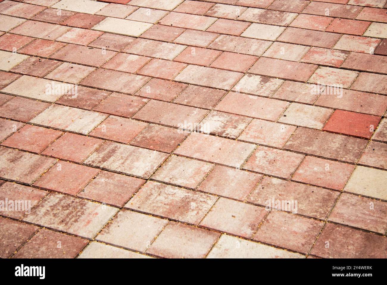 This image features a detailed closeup view of a distinctive red and ...