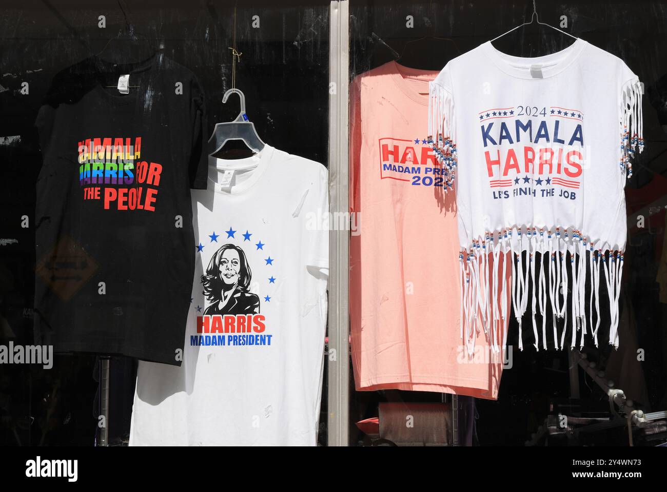 Support for the Kamala Harris and the Democratic party in Colorado for ...