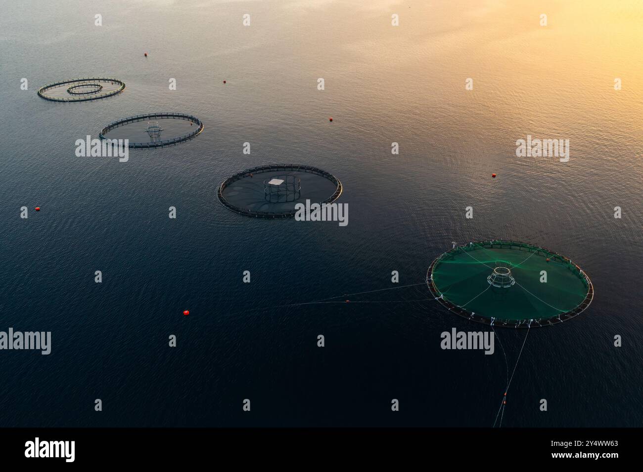 Well-structured Croatian fish farm with round net enclosures ...