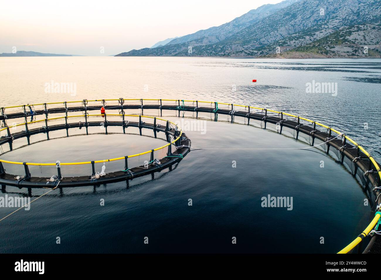 Fishing activity in a circular fish farm surrounded by mountains near ...