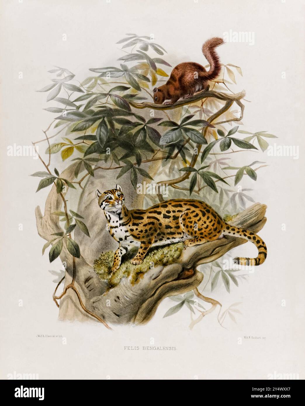 Scientific monograph hi-res stock photography and images - Alamy