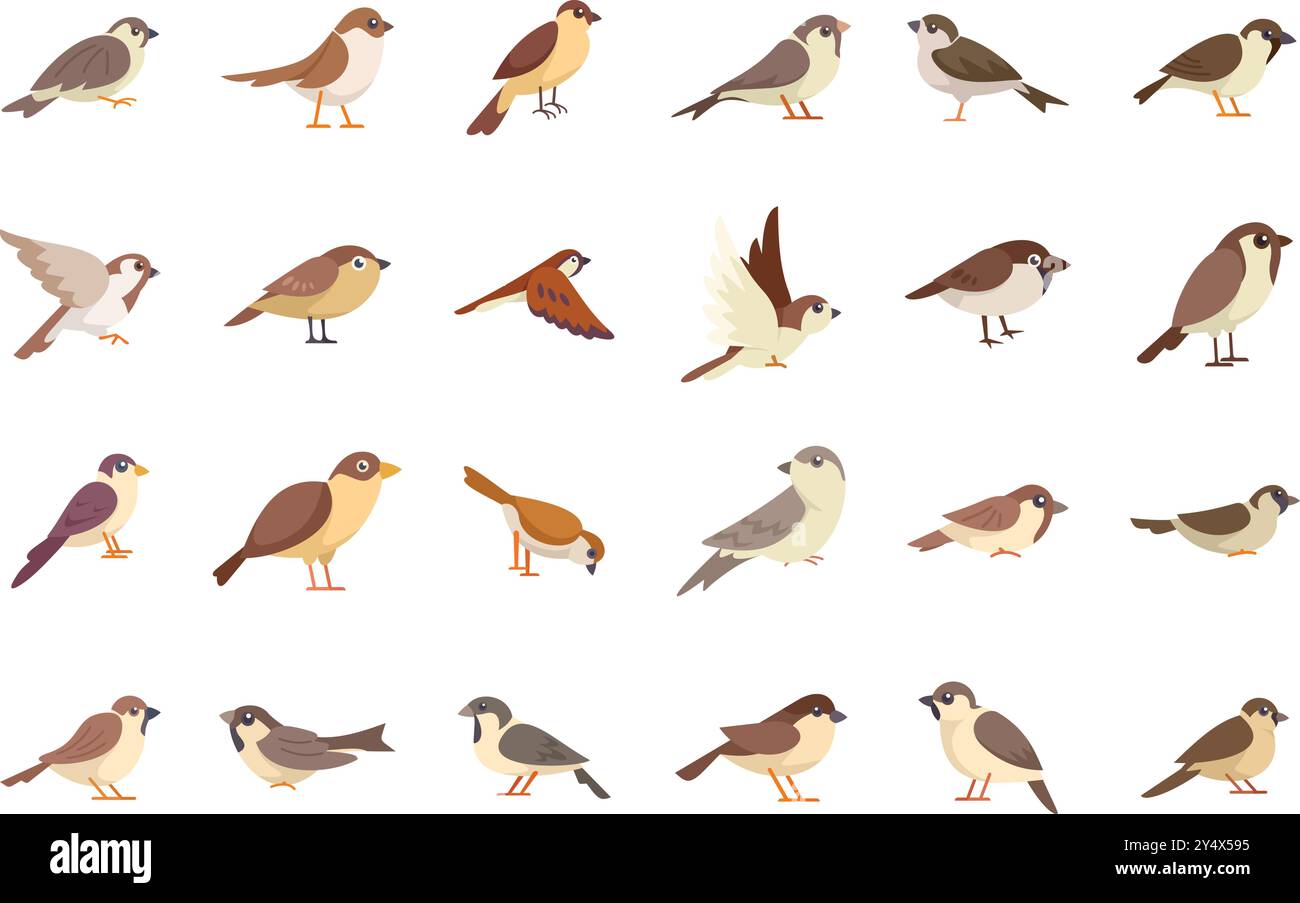 Collection of sparrows in various positions, showcasing their beauty ...