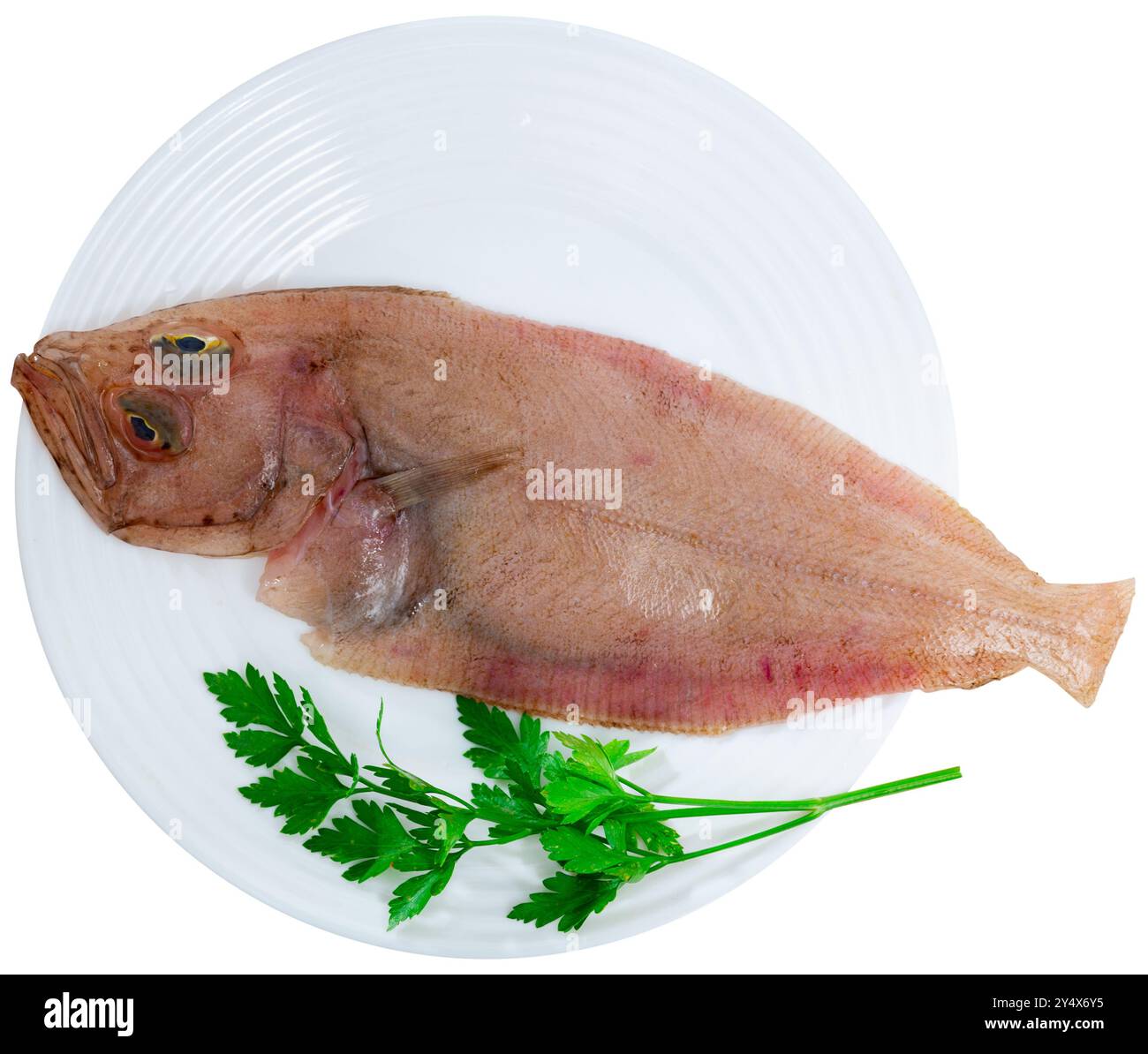 Lemon spot Cut Out Stock Images & Pictures - Alamy