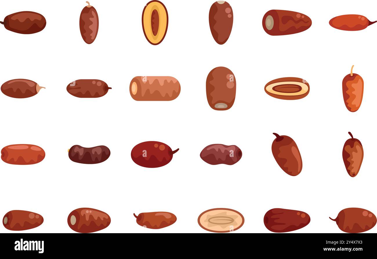 Set of dates fruit icons in flat style showing different sorts of dates ...