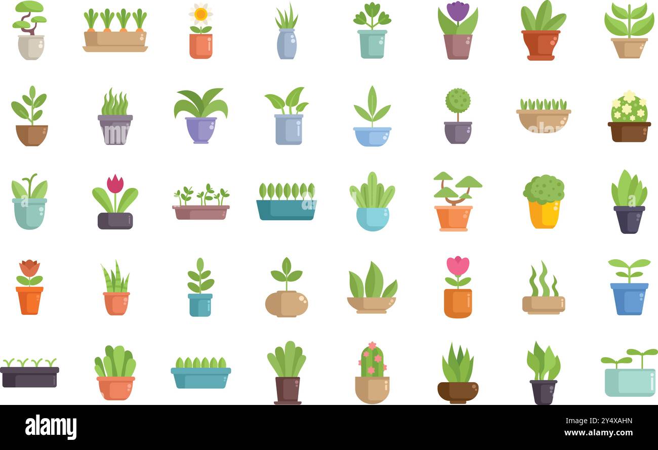 Collection of potted plants and flowers growing in planters on white ...