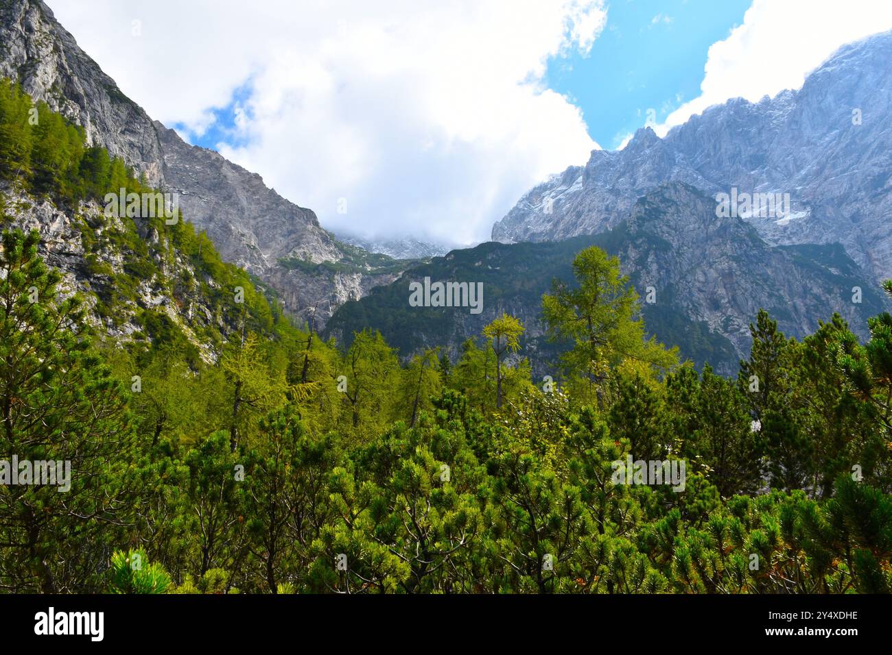 Mountain landscape above Ravenska Kocna in Slovenia Stock Photo - Alamy