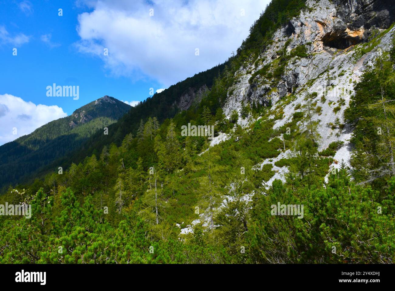 Alpine landscape at Ravenska Kocna and Goli vrh peak at Jezersko in ...