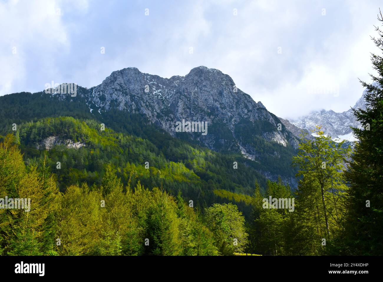 Velika Baba mountain above Ravenska Kocna at Zgornje Jezersko, Slovenia ...