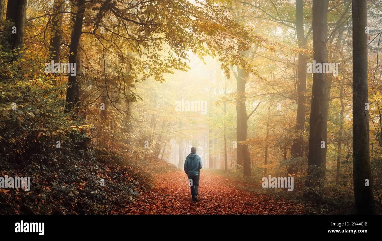 Hiker walking into the bright gold scene with illuminated fog in a ...