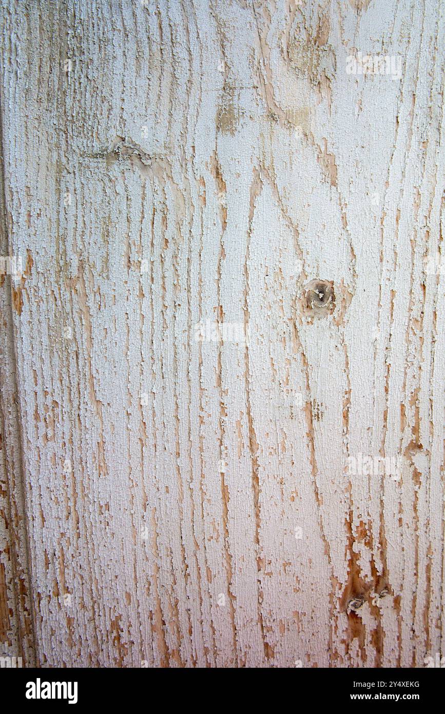 wooden background, wooden white varnished background, cracked white ...