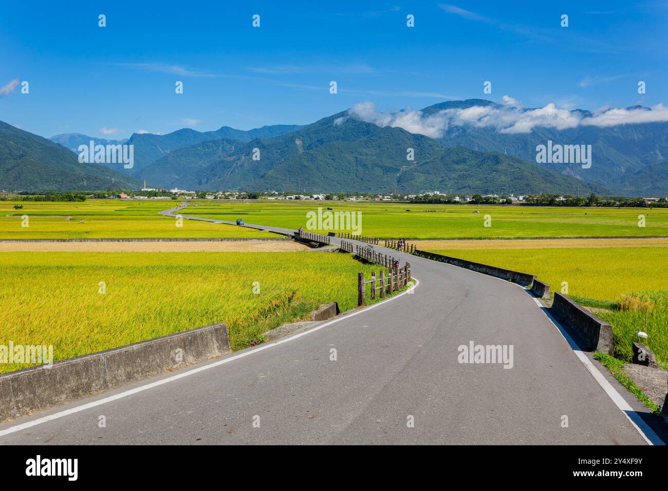 Sunny view of the beautiful rice paddy field at Chishang, Taiwan Stock ...