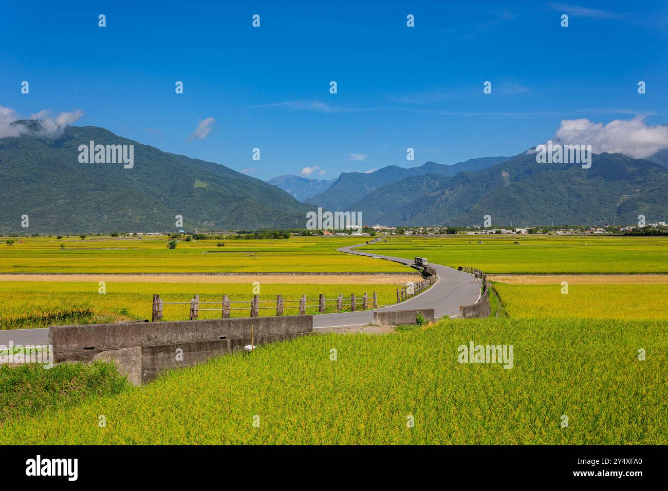 Sunny view of the beautiful rice paddy field at Chishang, Taiwan Stock ...