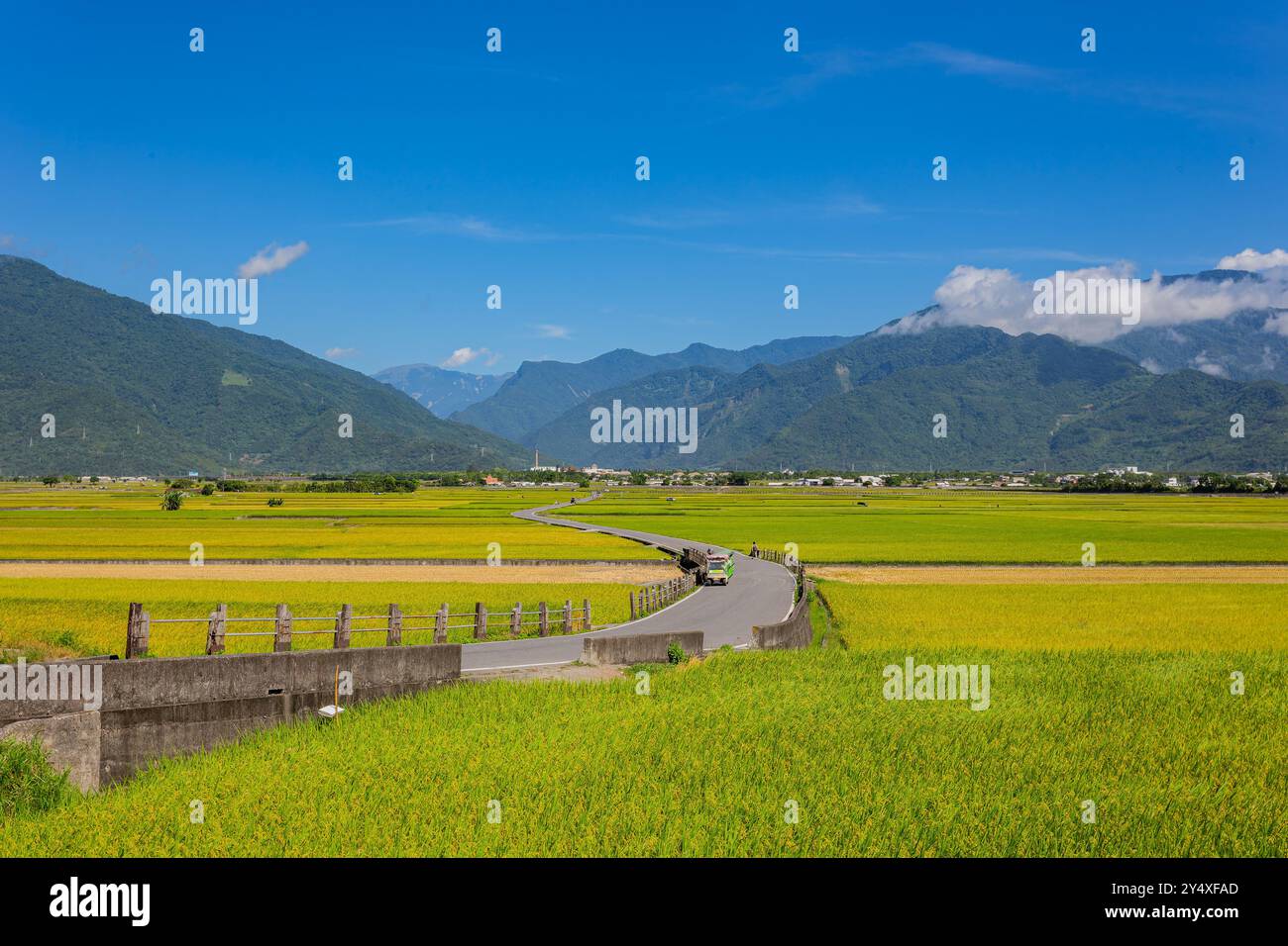 Sunny view of the beautiful rice paddy field at Chishang, Taiwan Stock ...