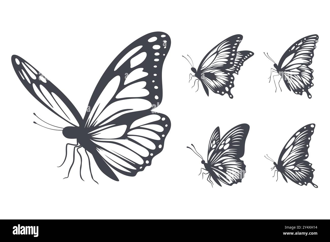 Monochrome Hand-Drawn Butterfly Icon Set. Single Color Butterfly ...