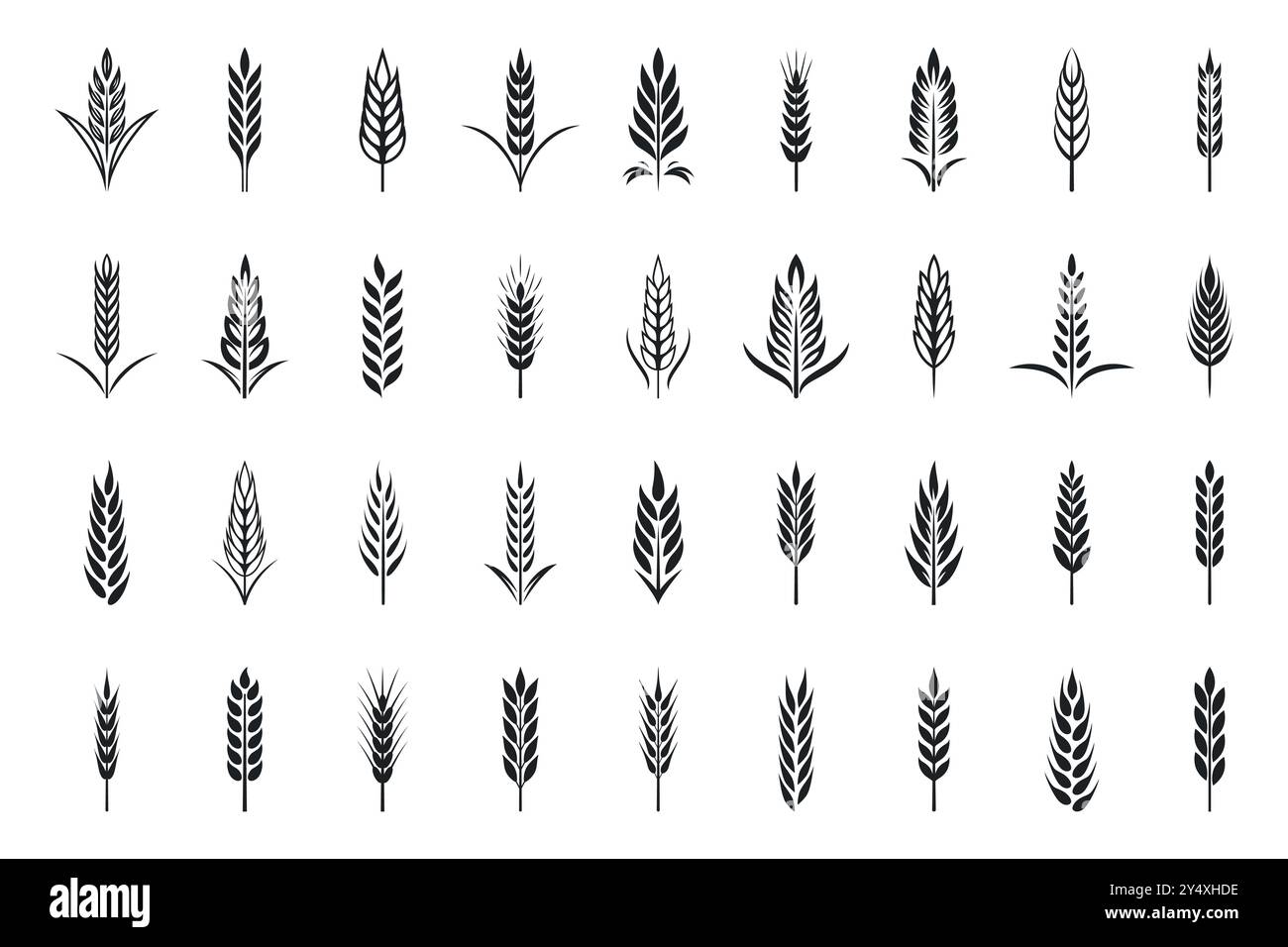 Vector Monochrome Hand-Drawn Cereal Ear Icon Set. Single Color Wheat ...