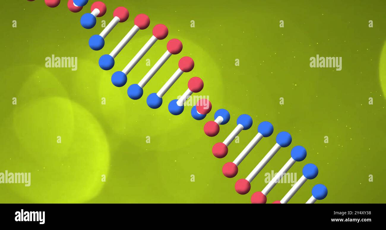 DNA strand image over green background with red and blue molecules ...