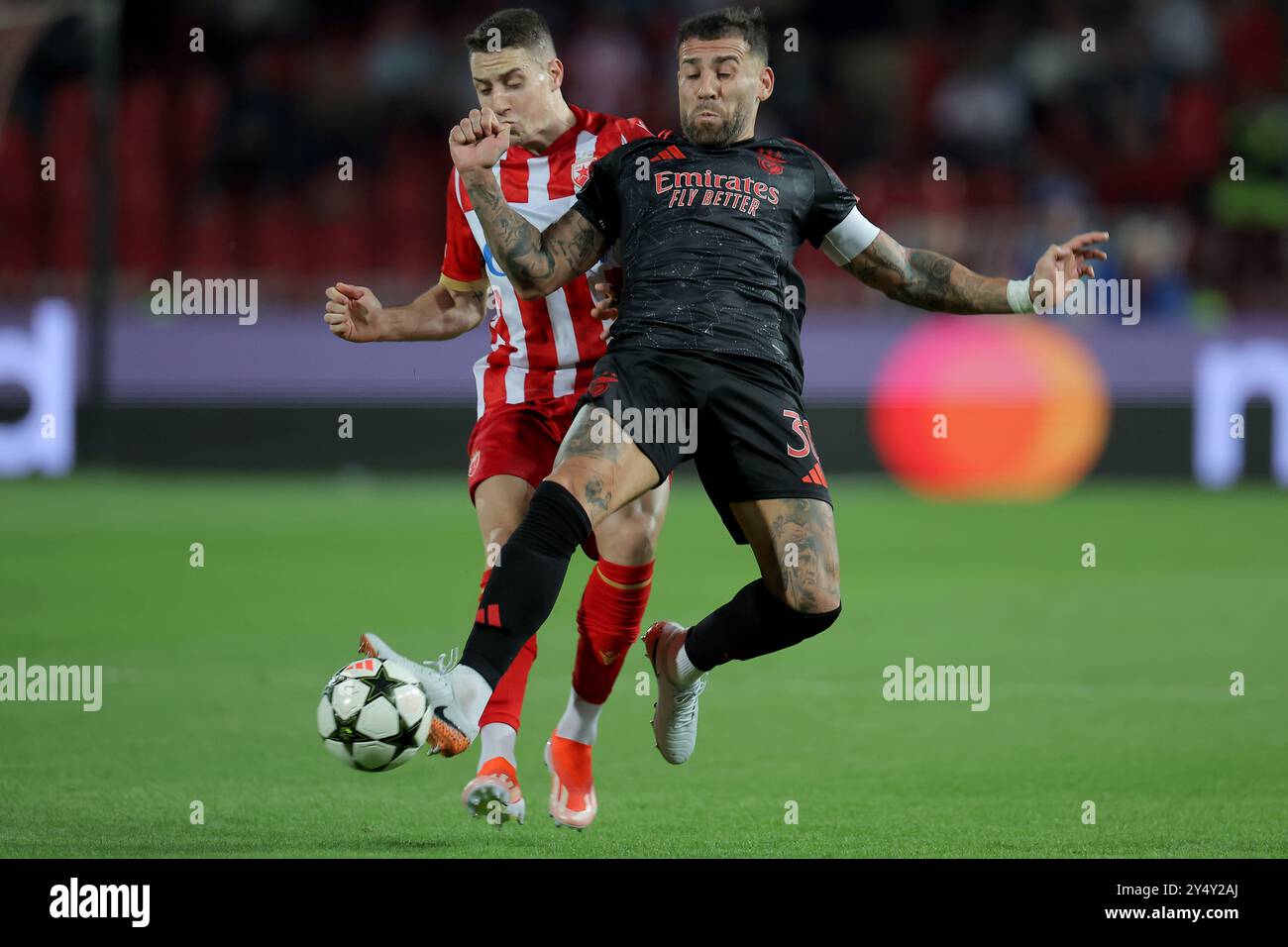 Bruno duarte hi-res stock photography and images - Alamy