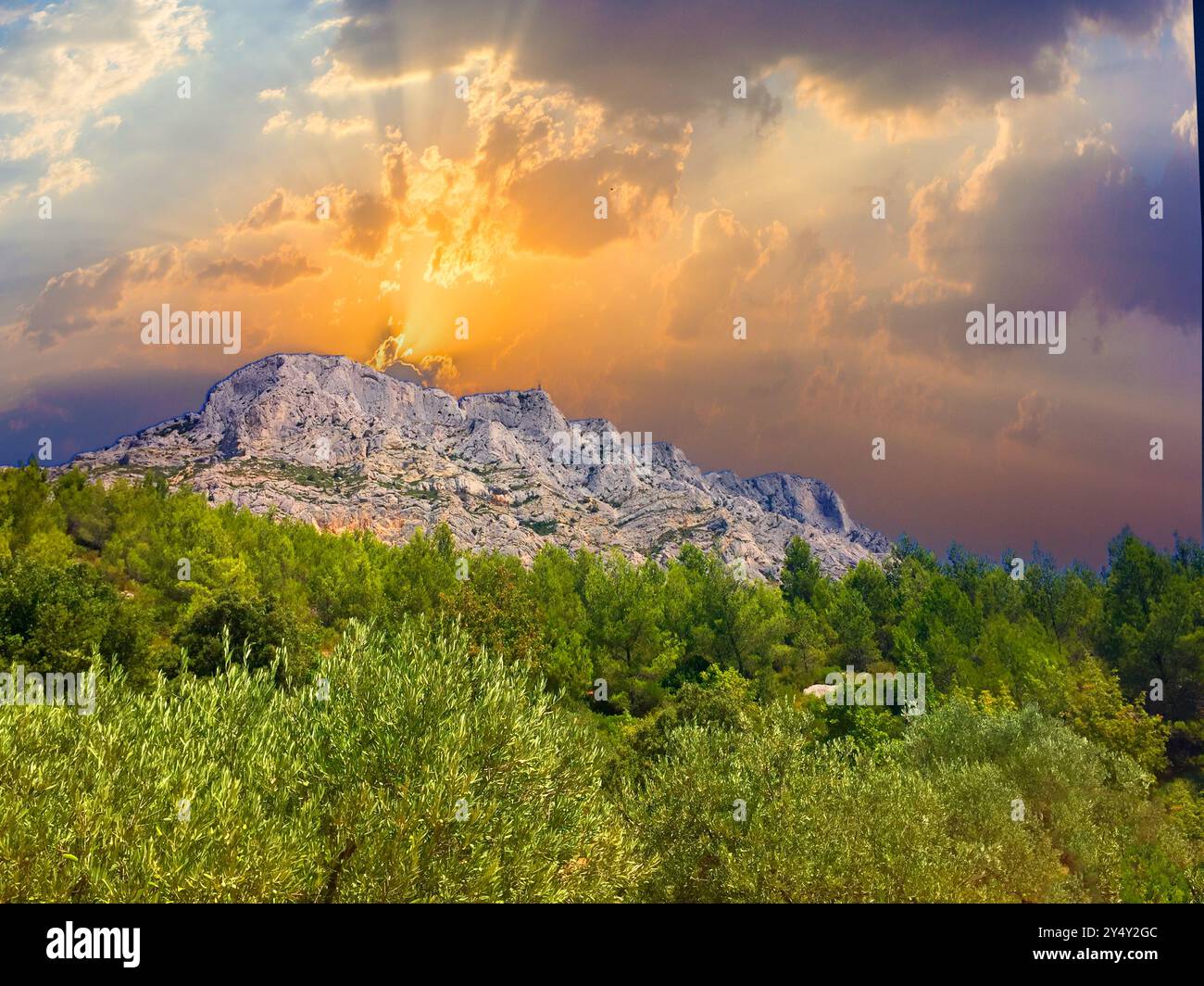 Mountain of Sainte-Victoire near Aix en provence, famous by paintings ...
