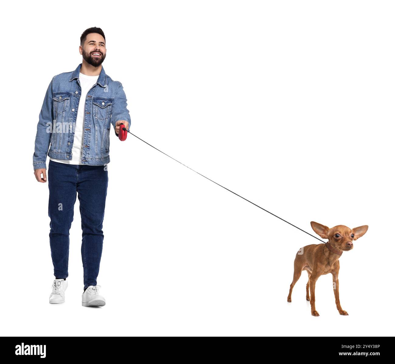 Young man walking his dog on white background Stock Photo - Alamy