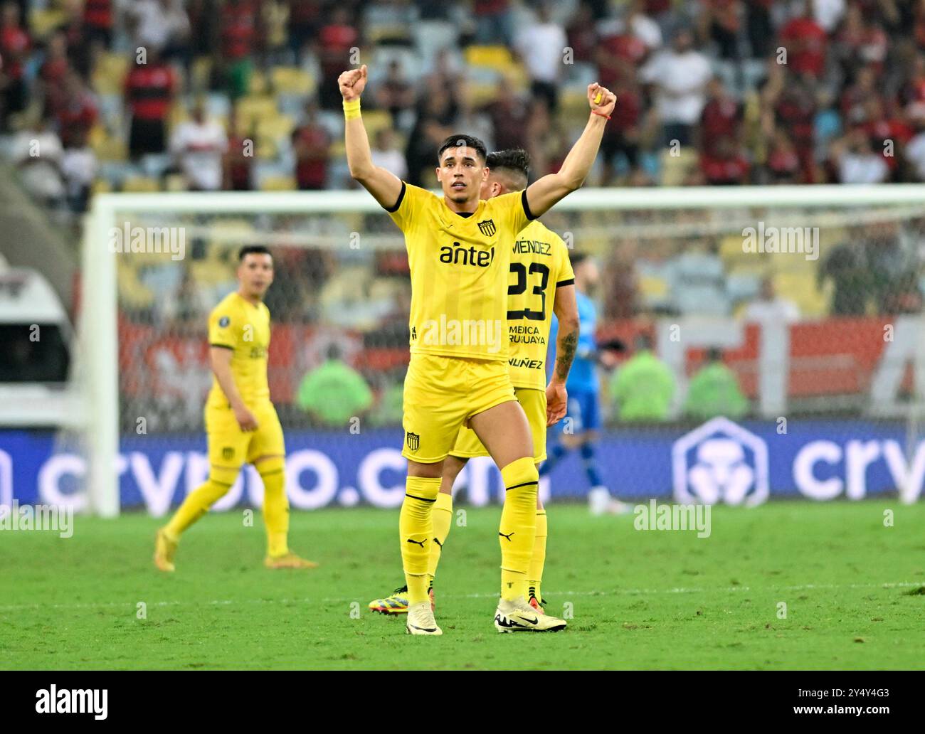 Peñarol 2024 libertadores hi-res stock photography and images - Alamy