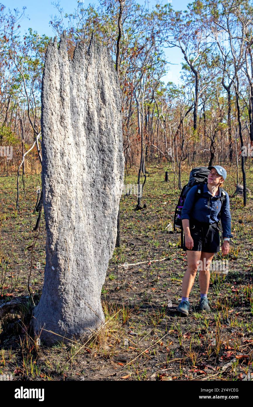 Hiker beside a magnetic termite mound along the Tabletop Track Stock ...