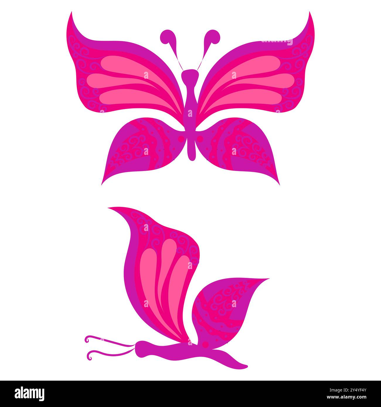 Butterfly with open wings and closed wings. Vector illustration ...