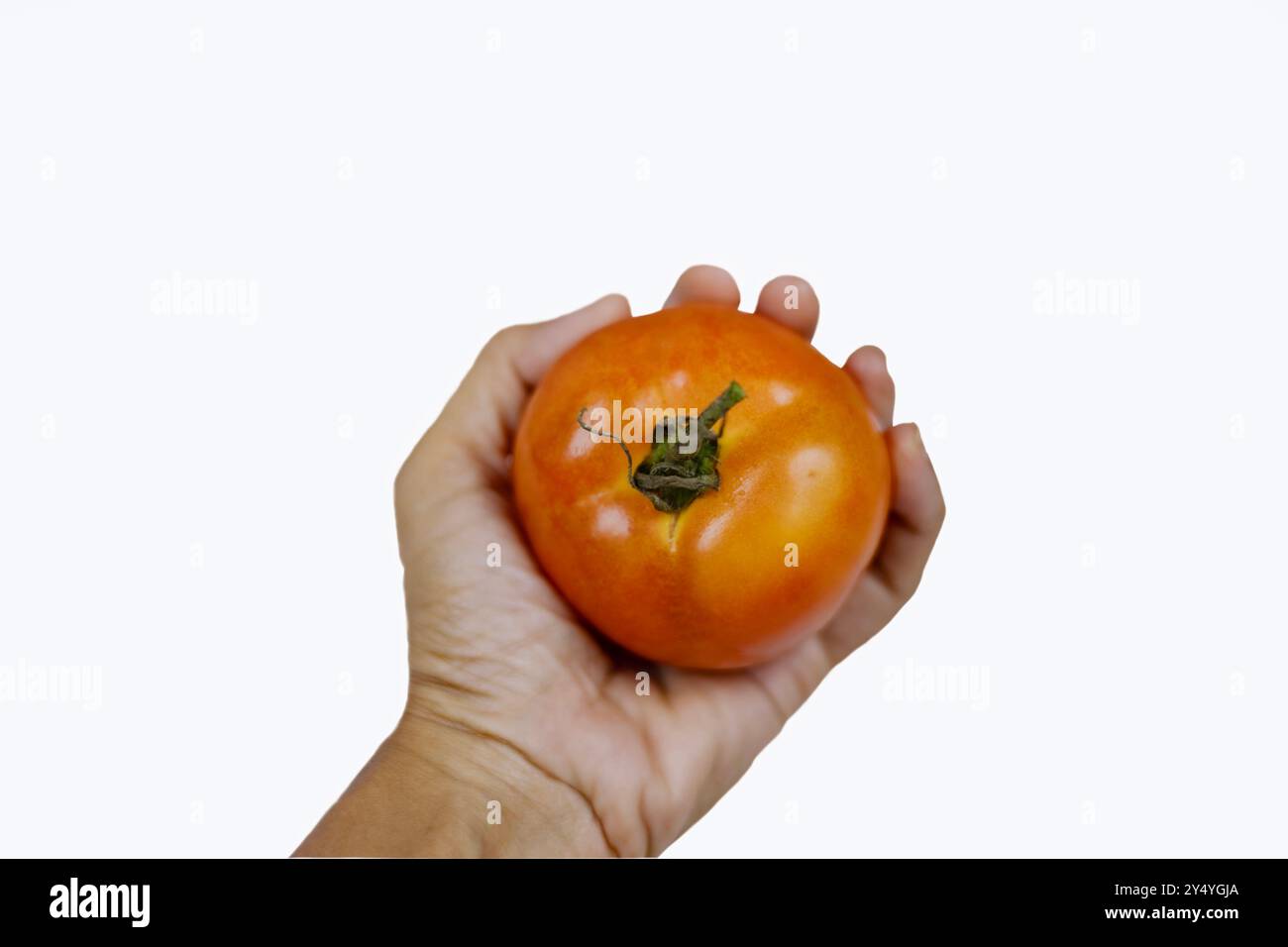 Tomato in the human hand isolated over white background Stock Photo - Alamy