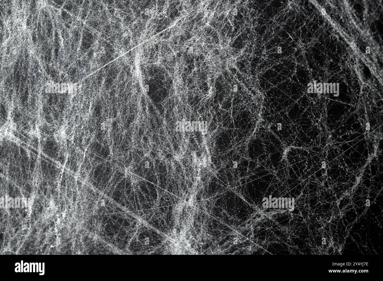 Spooky creepy cobweb spiders web covered a black background. Abstract ...