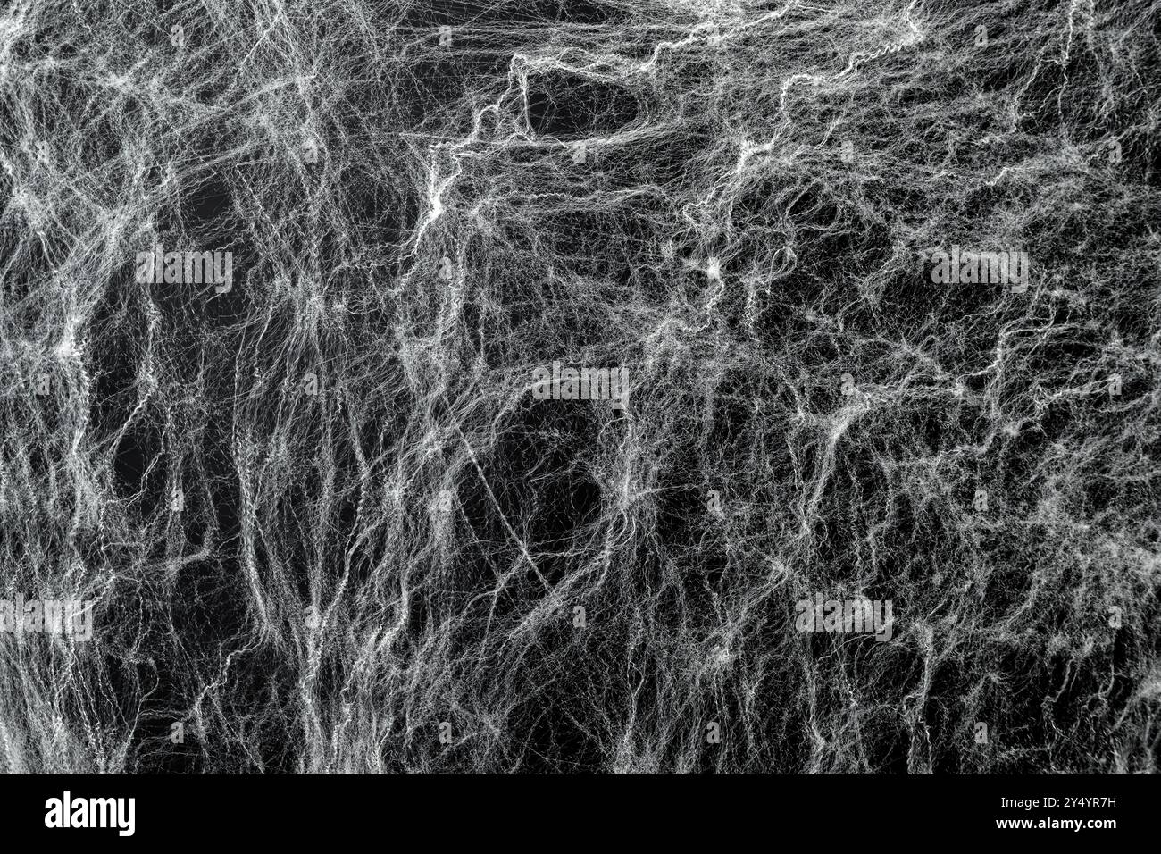 Spooky creepy cobweb spiders web covered a black background. Abstract ...