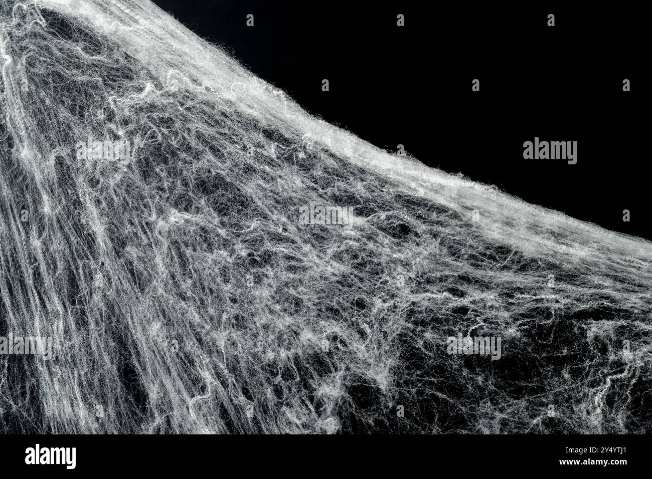 Spooky creepy cobweb spiders web covered a black background. Abstract ...