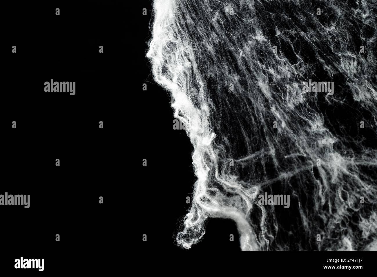 Spooky creepy cobweb spiders web covered a black background. Abstract ...