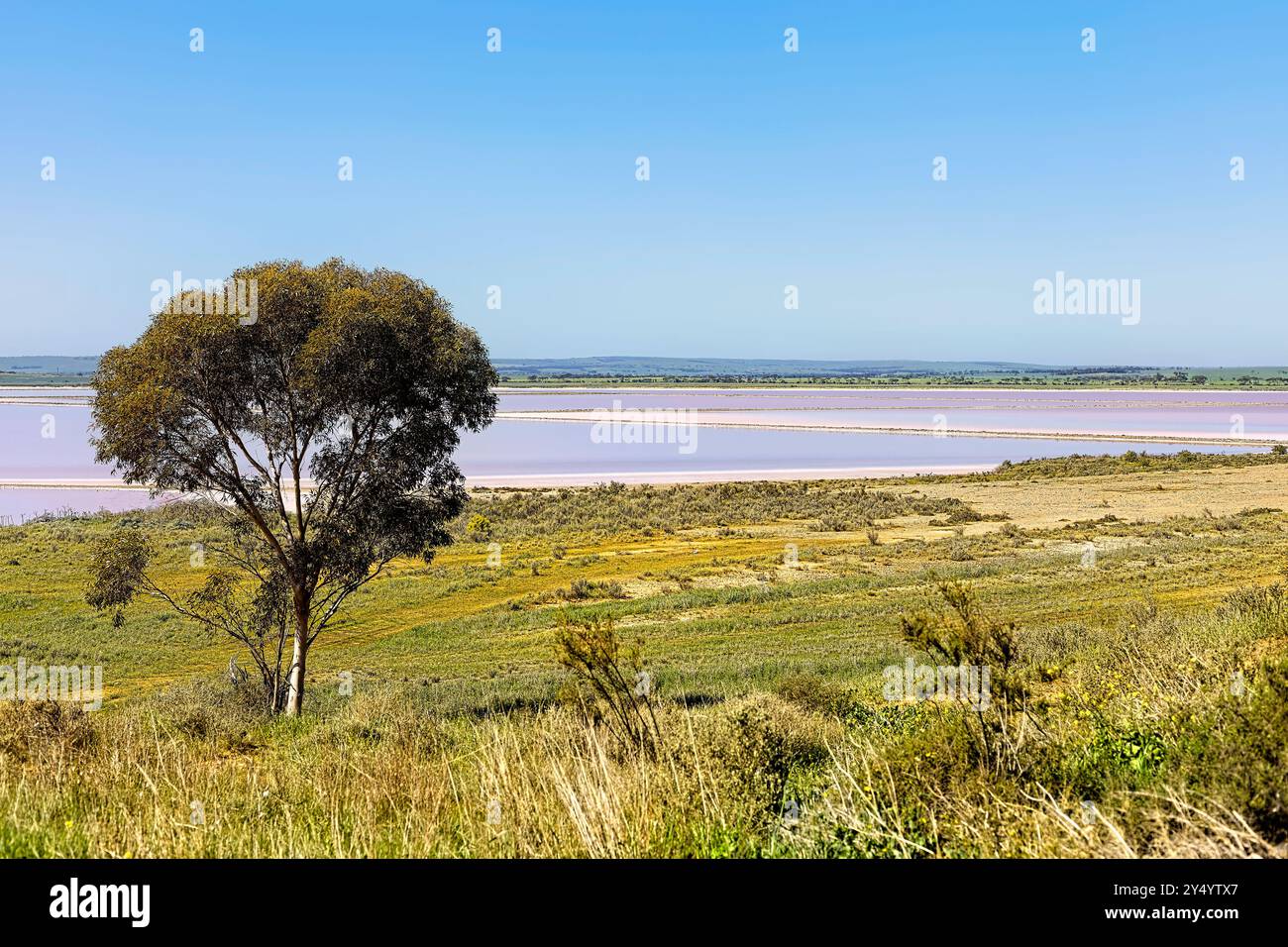 Lake Bumbunga, South Australia Stock Photo - Alamy