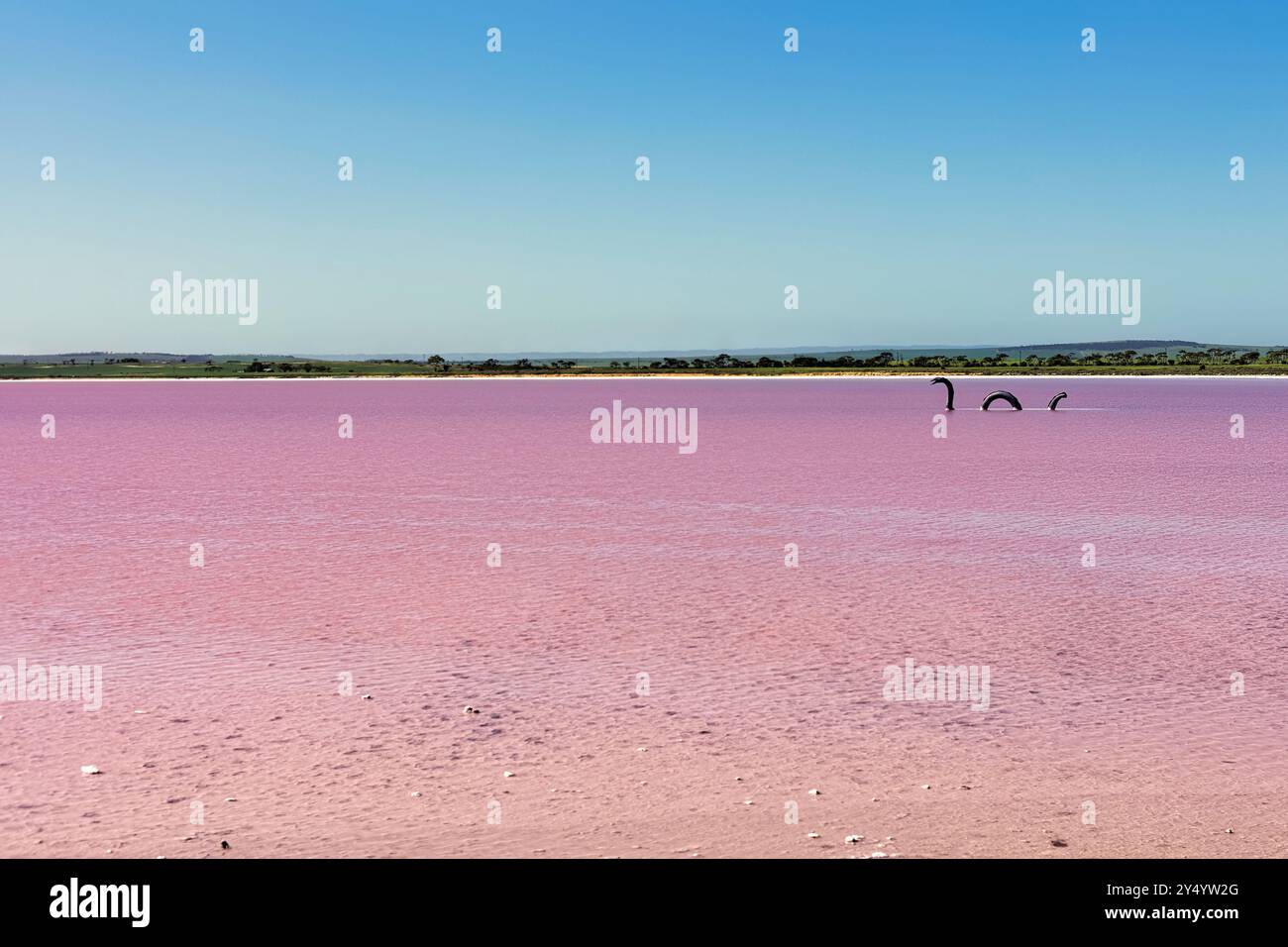 Lake Bumbunga and Loch-eel monster instillation, South Australia Stock ...