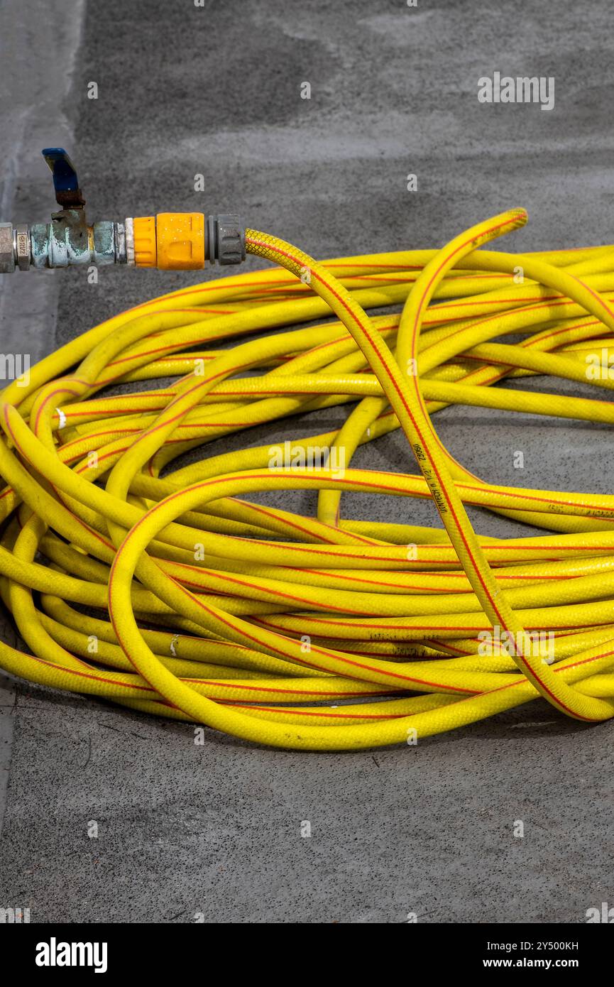 bright yellow garden hosepipe, coiled hosepipe, yellow hose Stock Photo ...