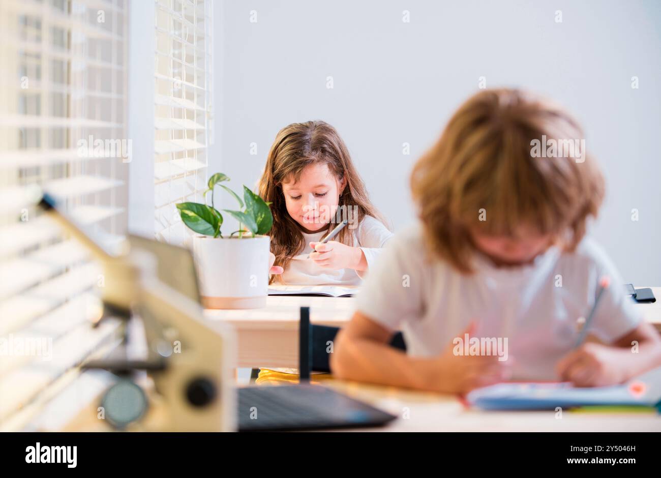 Cute pupil writing at desk in classroom at the elementary school ...