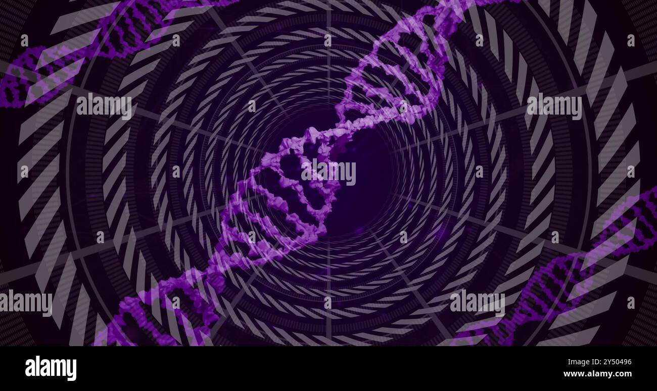 Image of spinning circles over dna strand spinning Stock Photo - Alamy