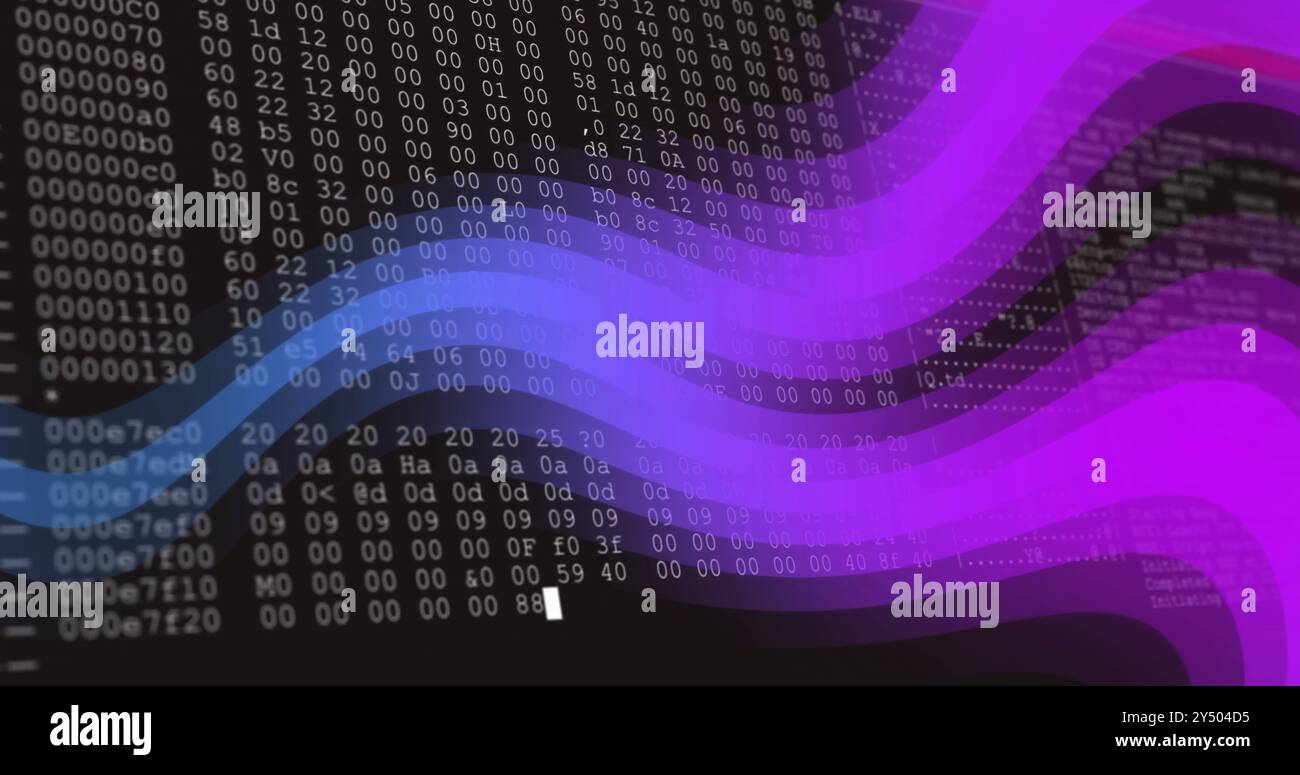 Binary code and data processing image over digital screen with purple ...